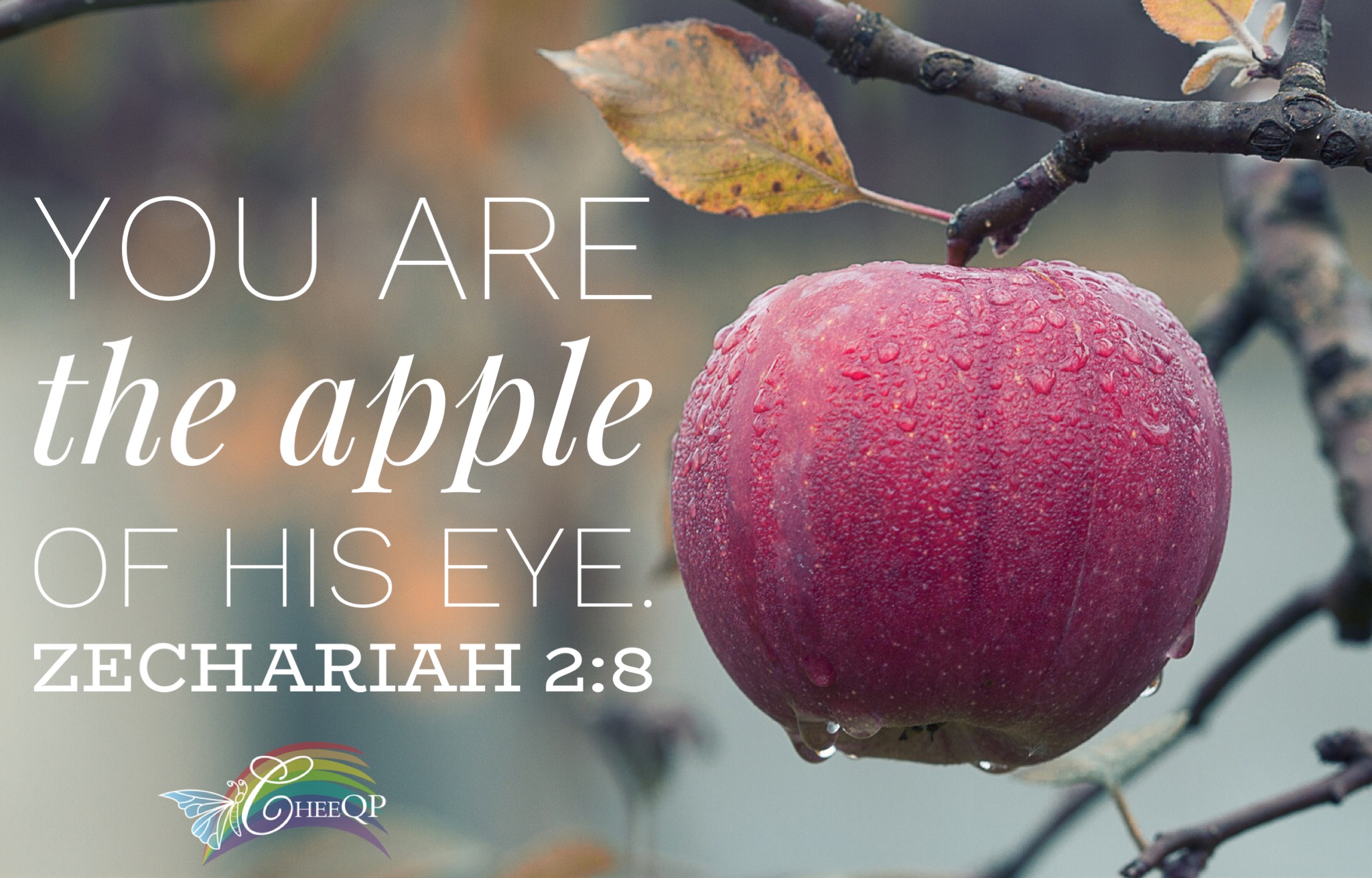 The Apple of His Eye – Behold, I Am With You Always! -JESUS